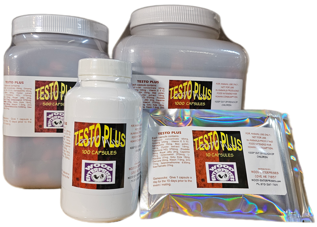 Testo Plus – wood enterprises